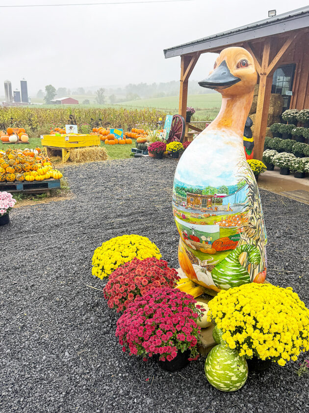 Take a gander: Goose Day takes flight as regional holiday | News ...